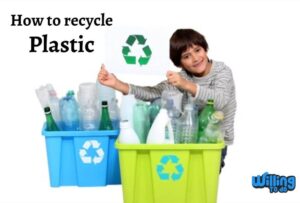 How to Recycle Plastic at the Mass Level in 7 Exciting Modes
